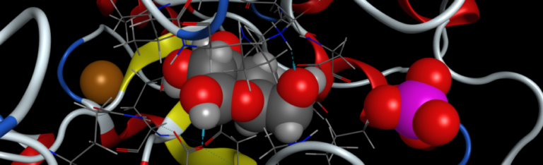 Protein Structure Visualization and Analysis Using Chimera X ...