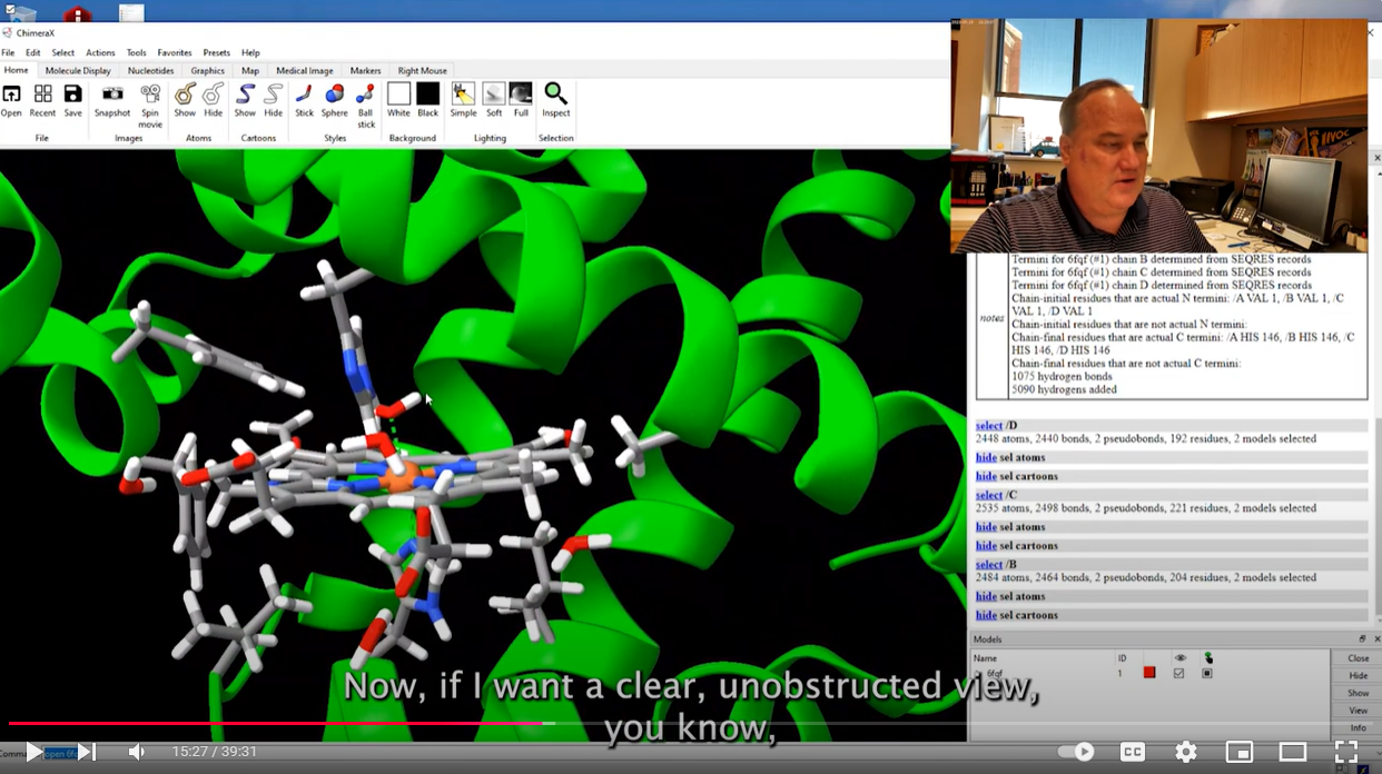 Protein Structure Visualization and Analysis Using Chimera X | Biochemistry Unfolded