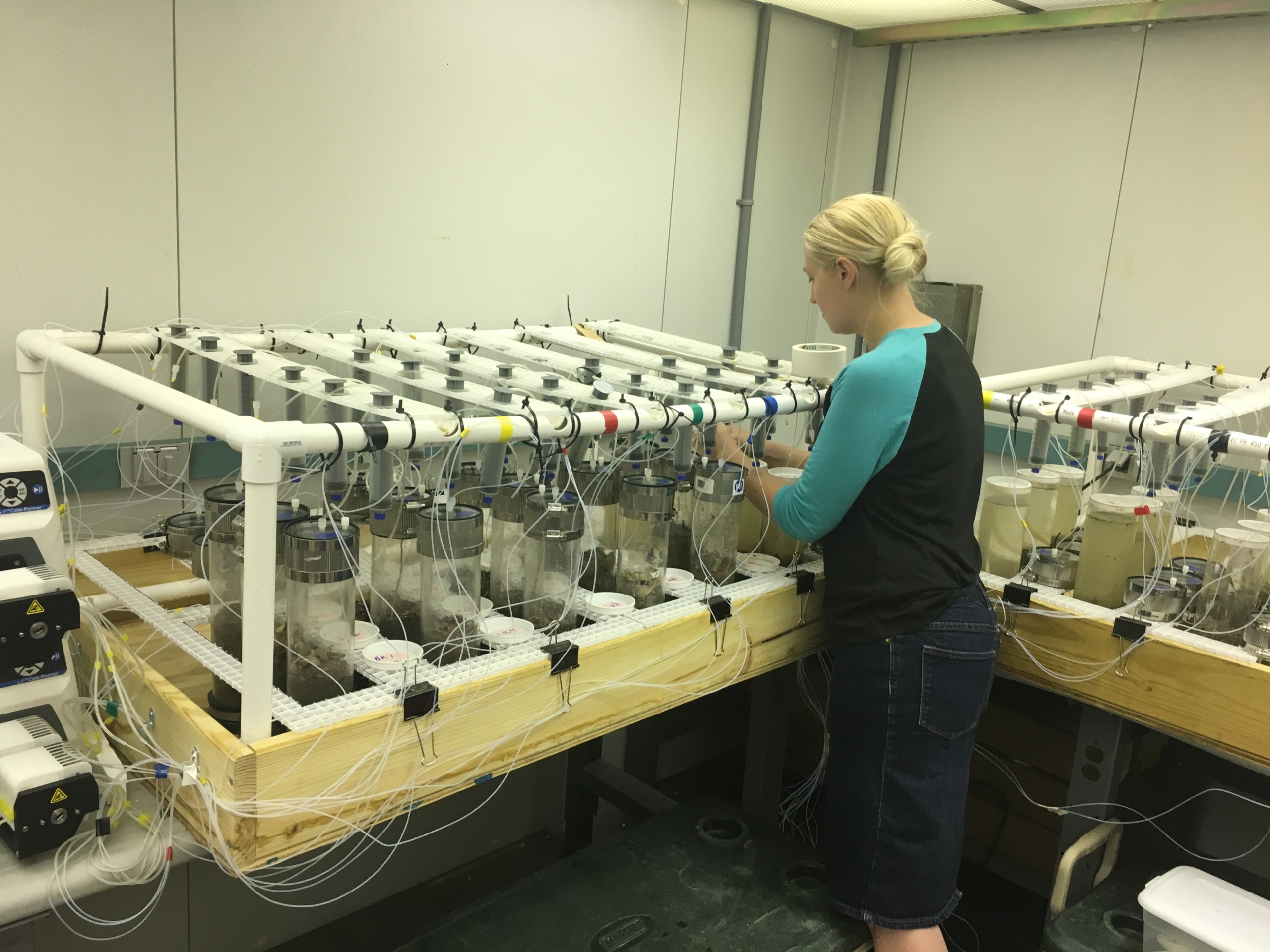 Wetland Nutrient Retention – Murdock Lab